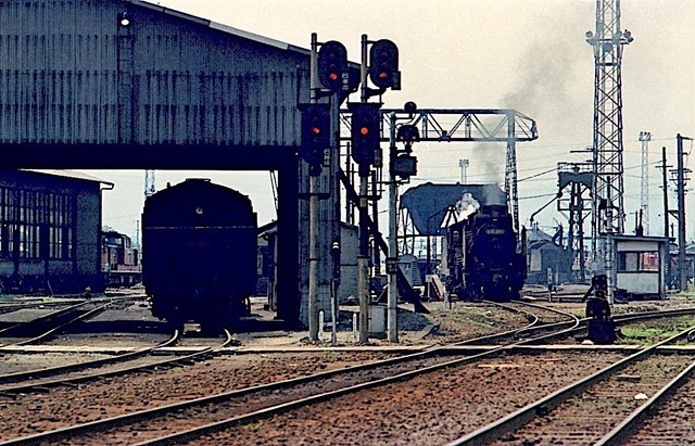 1973 関西本線 亀山機関区: ・MoNoMONo・